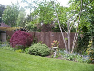 Primrose Natural Bark Screening Garden Fence Privacy Roll Sun ...