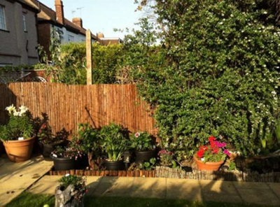 Primrose Natural Bark Screening Garden Fence Privacy Roll Sun ...