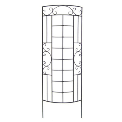 Primrose Romantic Curved Trellis and Plant Support Ladder in Black 182cm