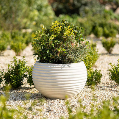Primrose Round Outdoor Garden Planter Ridged Stone Effect Bowl Plant ...