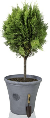 Primrose Round Square Tuscan Planters Lightweight Continental Grey ...