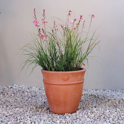 Primrose Round Terracotta Flower Design Pot 27cm