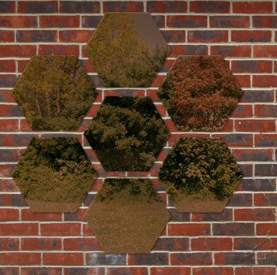 Primrose Set of 7 Acrylic Non Shatter Outdoor Wall Mounted Hexagonal ...