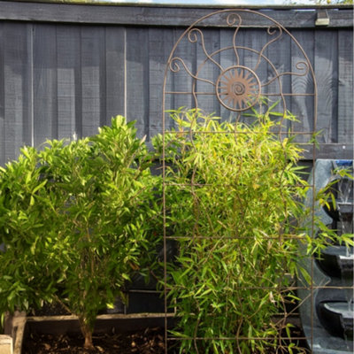 Primrose Steel Aztec Sun Design Trellis in Powder Coated Corten Steel 183cm