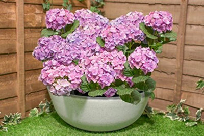Primrose White Stone Effect Planters Frost & Fade Resistant Planter ...