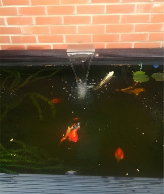Primrose Wide Arc Stainless Steel Waterfall Blade Cascade for Pond or ...