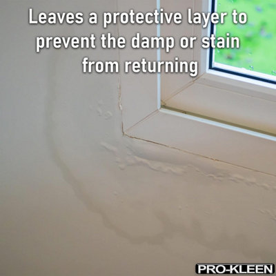 Pro-Kleen Damp & Stain Block Spray Primer - Covers Damp, Mould, Grease ...