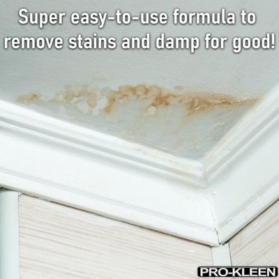 Pro-Kleen Damp & Stain Block Spray Primer - Covers Damp, Mould, Grease ...