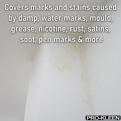 Pro-Kleen Damp & Stain Block Spray Primer - Covers Damp, Mould, Grease ...