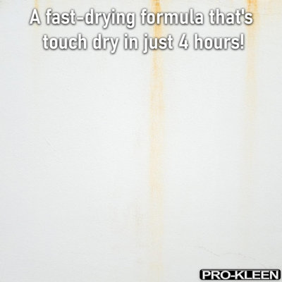 Pro-Kleen Damp & Stain Block Spray Primer - Covers Damp, Mould, Grease ...