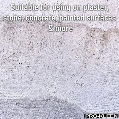 Pro-Kleen Damp & Stain Block Spray Primer - Covers Damp, Mould, Grease ...