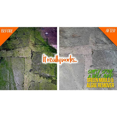 Pro-Kleen Patio Cleaner Simply Spray and Walk Away Green Mould and ...