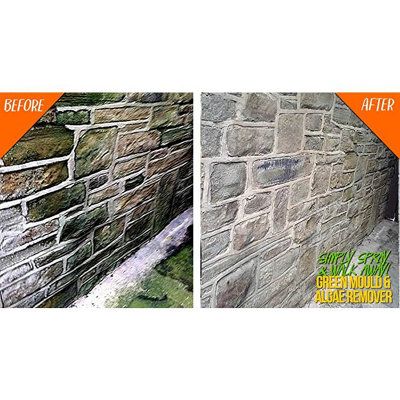 Pro-Kleen Patio Cleaner Simply Spray and Walk Away Green Mould and ...