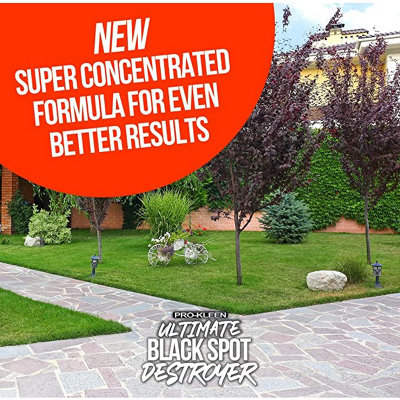 Pro-Kleen Ultimate Black Spot Remover Rapid Acting Patio Driveway Block ...