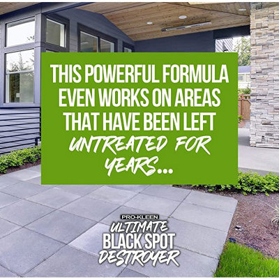 Pro-Kleen Ultimate Black Spot Remover Rapid Acting Patio Driveway Block ...