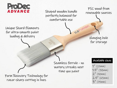 ProDec Advance 4 piece Ice Fusion Trade Professional Synthetic Paint ...