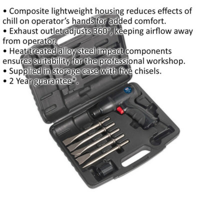 Professional Composite Air Hammer Kit with 5 Chisels and Storage Case