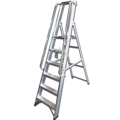 Professional Platform Step Ladders with Handrails 6 Treads