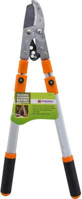 Professional Ratchet Anvil Loppers Pruner With Telescopic Extending ...
