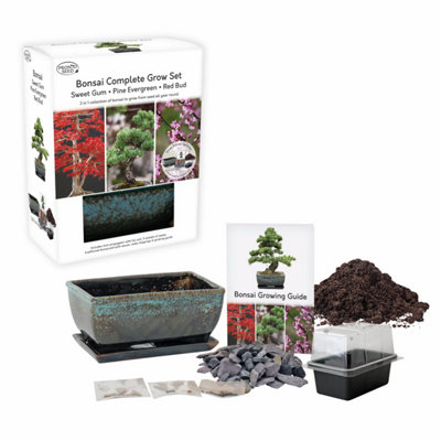 Pronto Seed Bonsai Tree Kit with Traditional Bonsai Pot & 3 Bonsai Seed ...
