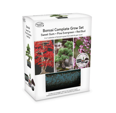 Pronto Seed Bonsai Tree Kit with Traditional Bonsai Pot & 3 Bonsai Seed ...