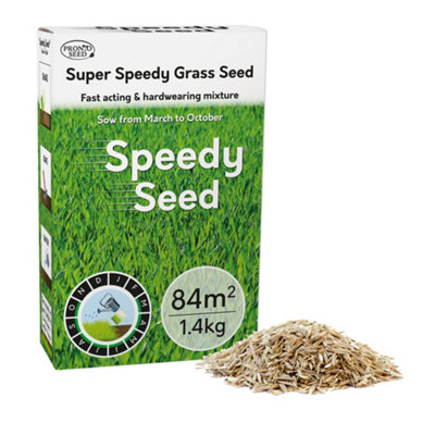 Grass Seed and Lawn Seed at B Q