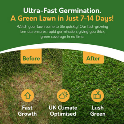 Pronto Seed Grass Seed 7KG Premium Quality 420m2 Coverage for ...