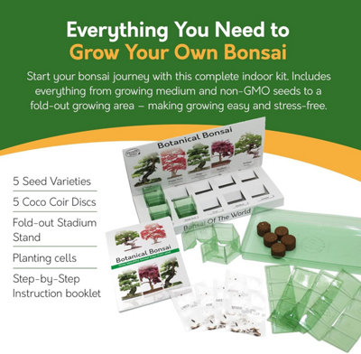 Pronto Seed Grow Your Own Bonsai Tree Kit - 5 Bonsai Seed Varieties ...