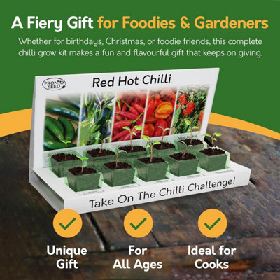 Pronto Seed Grow Your Own Hot Chilli Seed Kit - 5 Varieties - Take the ...