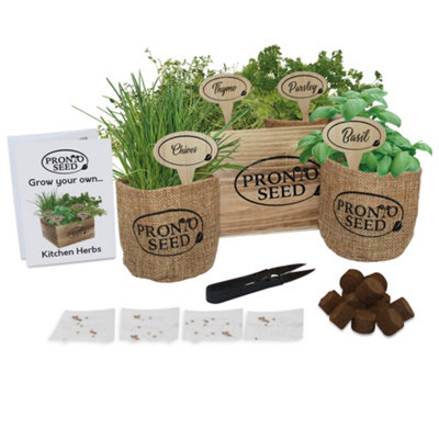 Pronto Seed Grow Your Own Kitchen Herbs Kit Gift Box - 4 Herb Seed ...