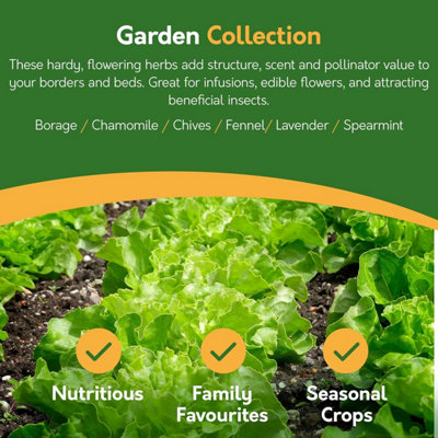 Pronto Seed Herb Bumper Pack, 24 Varieties, Over 2600 Herb Seeds