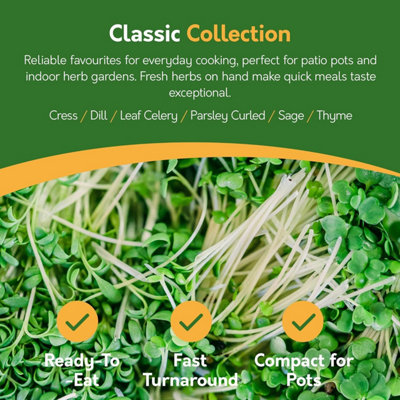 Pronto Seed Herb Bumper Pack, 24 Varieties, Over 2600 Herb Seeds