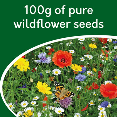 Pronto Seed Pure Wildflower Seed Mix 100g, Covers 100m²