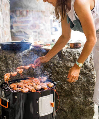 ProQ BBQ Smoker (Frontier V4 - 43cm), 4in1 Charcoal Barbecue Meat ...