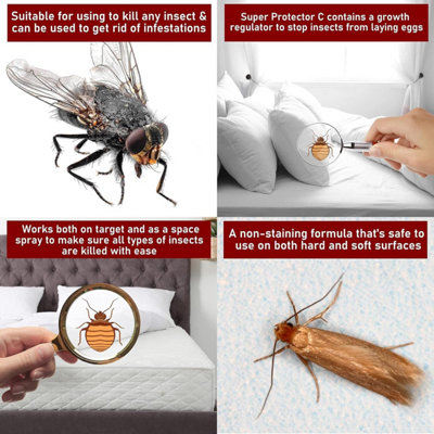 Protector C Triple Action Insecticide 5L Super Professional Indoor ...