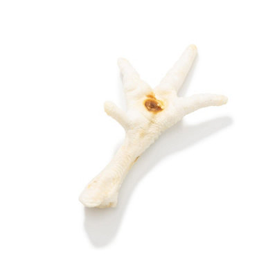 Puffed Chicken Feet (5kg) 100% Natural Airdried Dog Chew Treats