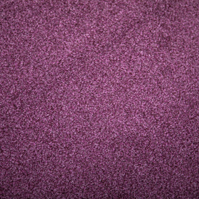 Purple Blackberry Twist Carpet Durable Hard Wearing Pile 4mm Thick - 4m ...