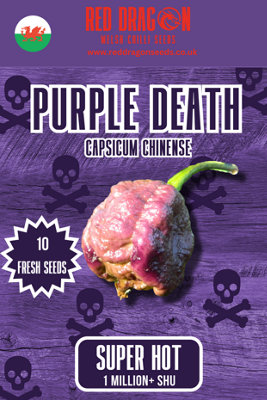 Purple Death Chilli Seeds - 10 Fresh Seeds