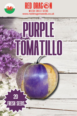 Purple Tomatillo Seeds for Home Garden Growing