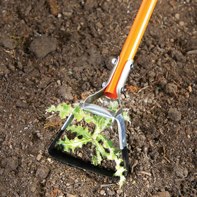 Push & Pull Weed Hoe, High-Quality Steel, Stirrup Blade, Soft Grip ...