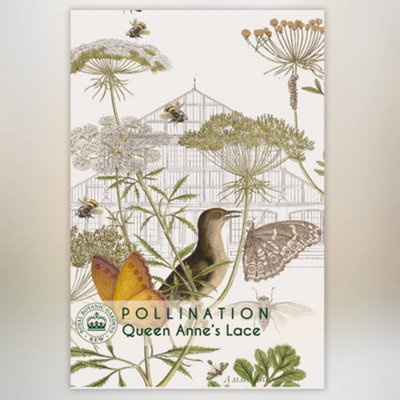 Queen Anne's Lace Promo New Kew Range 1 Seed Packet at B&Q