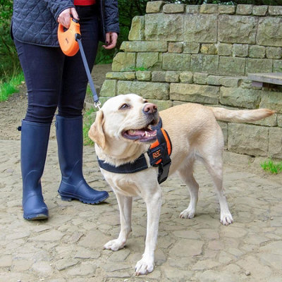 RAC Retractable Lead Medium Leads Extendable