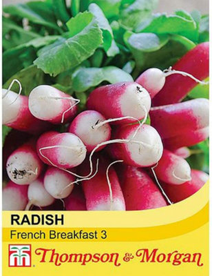 Radish French Breakfast 3 1 Seed Packet (500 Seeds)