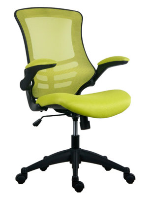 Rainbow Zebra Green Mesh Office Chair with Black Base and Folding Armrests