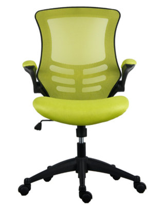 Rainbow Zebra Green Mesh Office Chair with Black Base and Folding Armrests