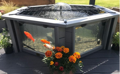 Raised hexagon pond with large windows Lily Clear View Garden Aquarium ...