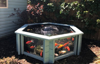 Raised hexagon pond with large windows Lily Clear View Garden Aquarium ...