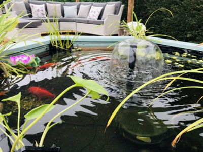 Raised hexagon pond with large windows Lily Clear View Garden Aquarium ...