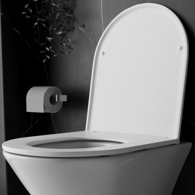 RAK Resort D-Shape Toilet Seat, Soft Close & Quick Release, Slimline ...