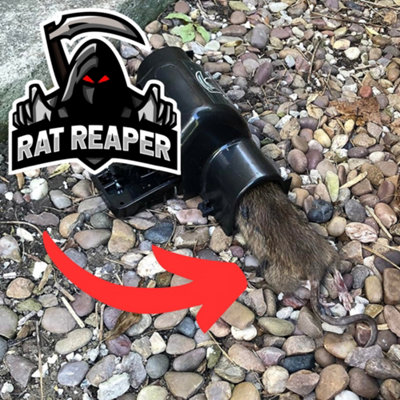 Rat Reaper Instant Kill rat Trap